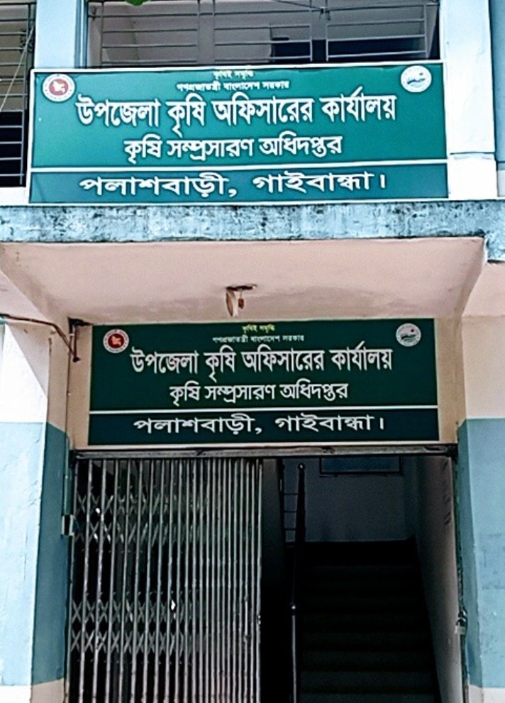 পলাশবাড়ীতে তালিকায় নাম থাকলেও কৃষি প্রণোদনার সার ও বীজ পাননি প্রান্তিক কৃষকরা - DhakaCanvas